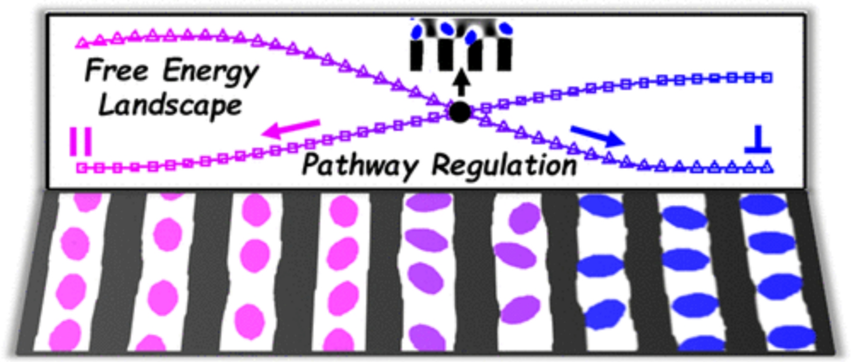 2023 | Angew. Chem.、Chem. Sci.、Engineering、J. Mater. Chem. A、Macromolecules