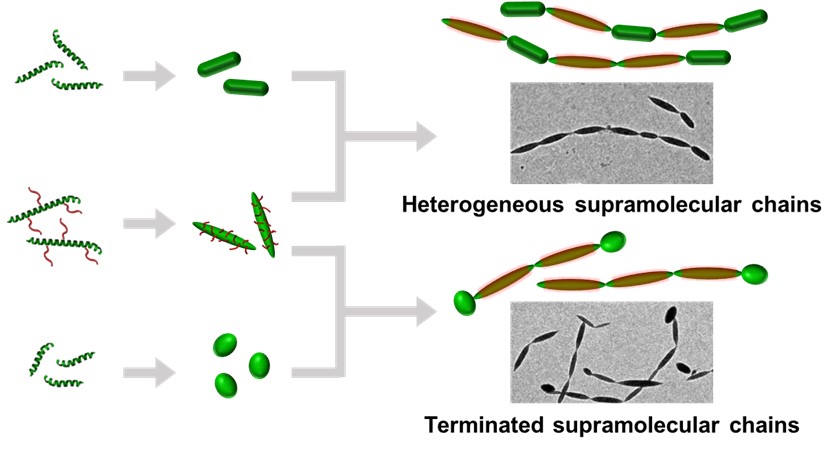 2023 | Angew. Chem.、Chem. Sci.、Engineering、J. Mater. Chem. A、Macromolecules