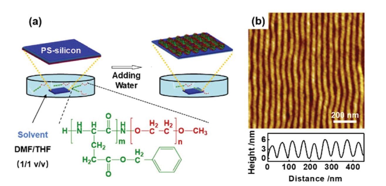2020 | Chem. Rev. 、Angew. Chem. Int. Ed. 、Chem. Mater. 、Macromolecules