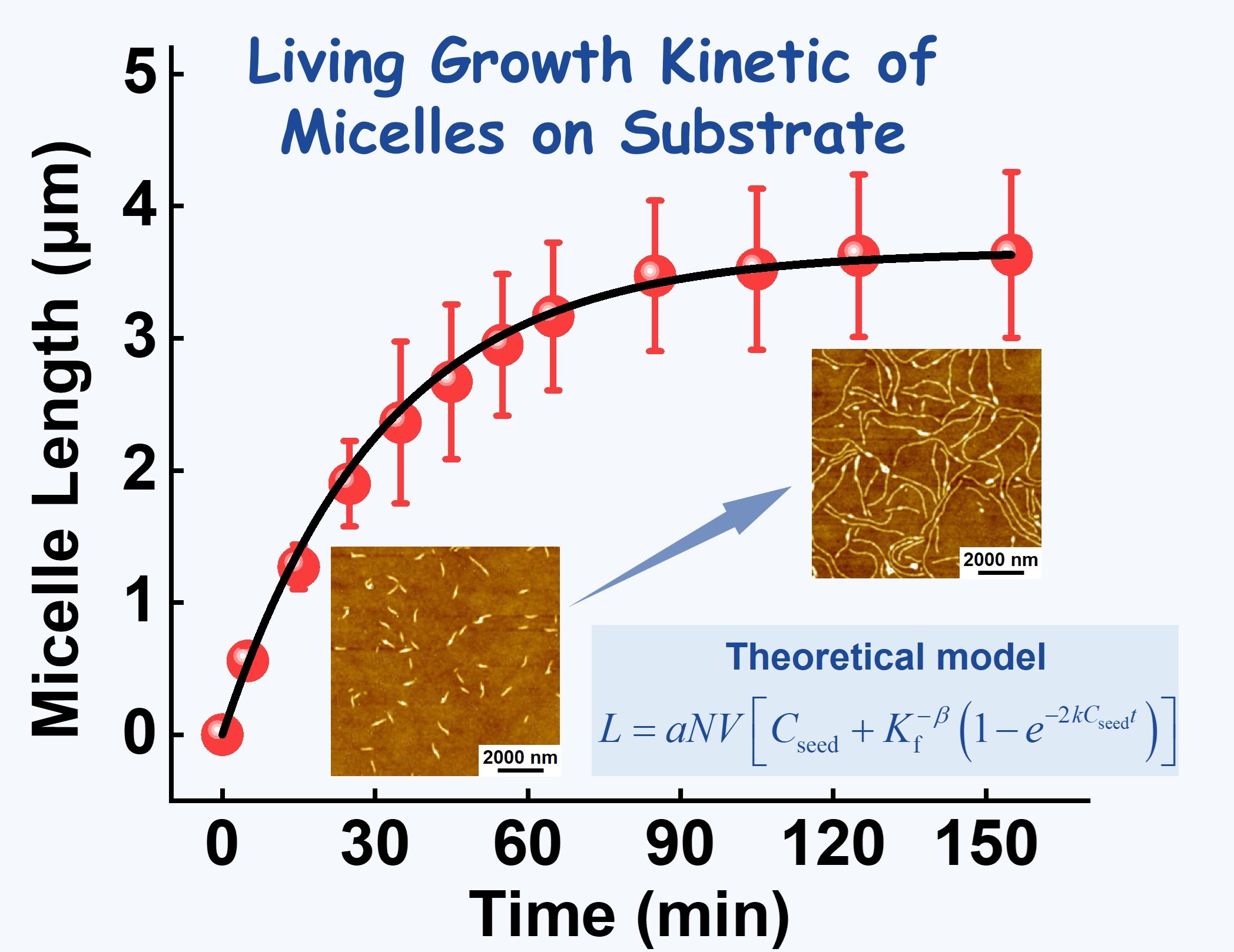 2024 | Acc. Mater. Res.、Compos. Sci. Technol.、JACS Au